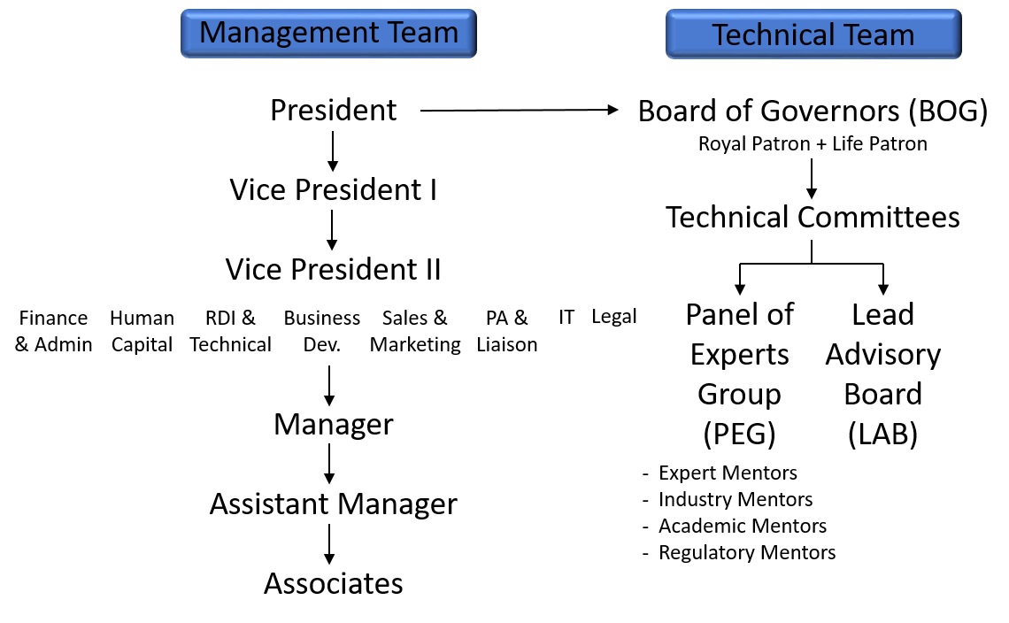 Royal Hierarchy Structure